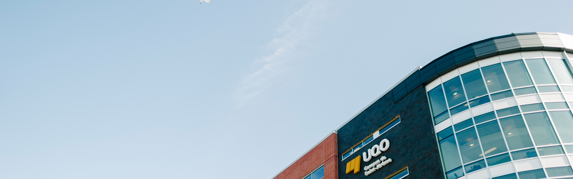 Membre honoraire | UQO | Université du Québec en Outaouais